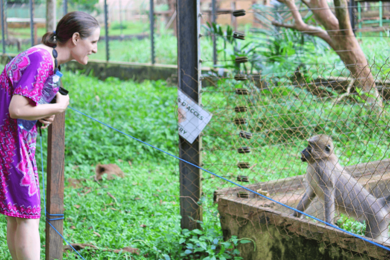 Lions, monkeys, and birds, oh my! A unique zoo experience in Cameroon ...